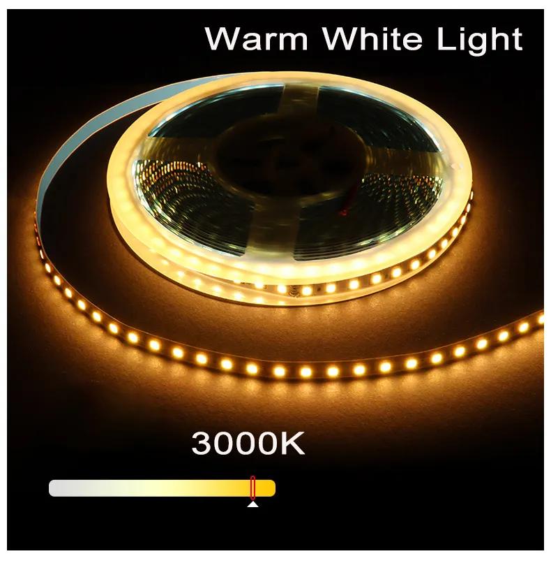 LED STRIP LIGHTS--HIGH VOLTAGE SERIES